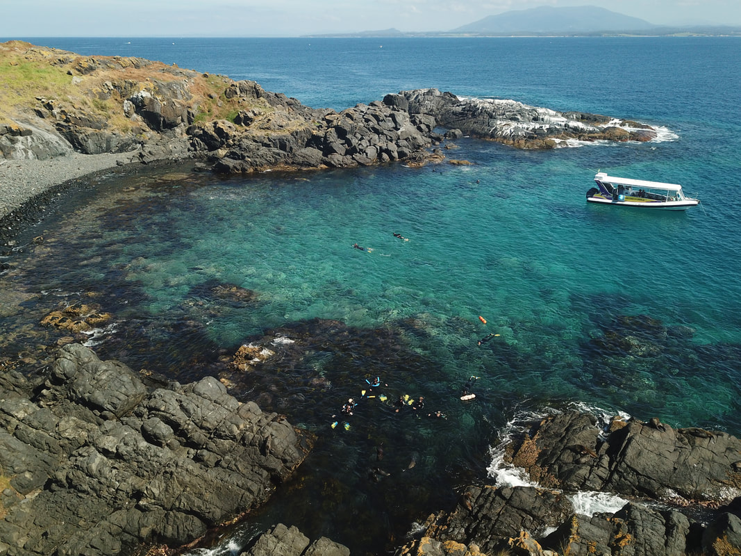 SEAL SWIM AUSTRALIA - Narooma NSW - Seal Swim Australia Welcome to Seal ...